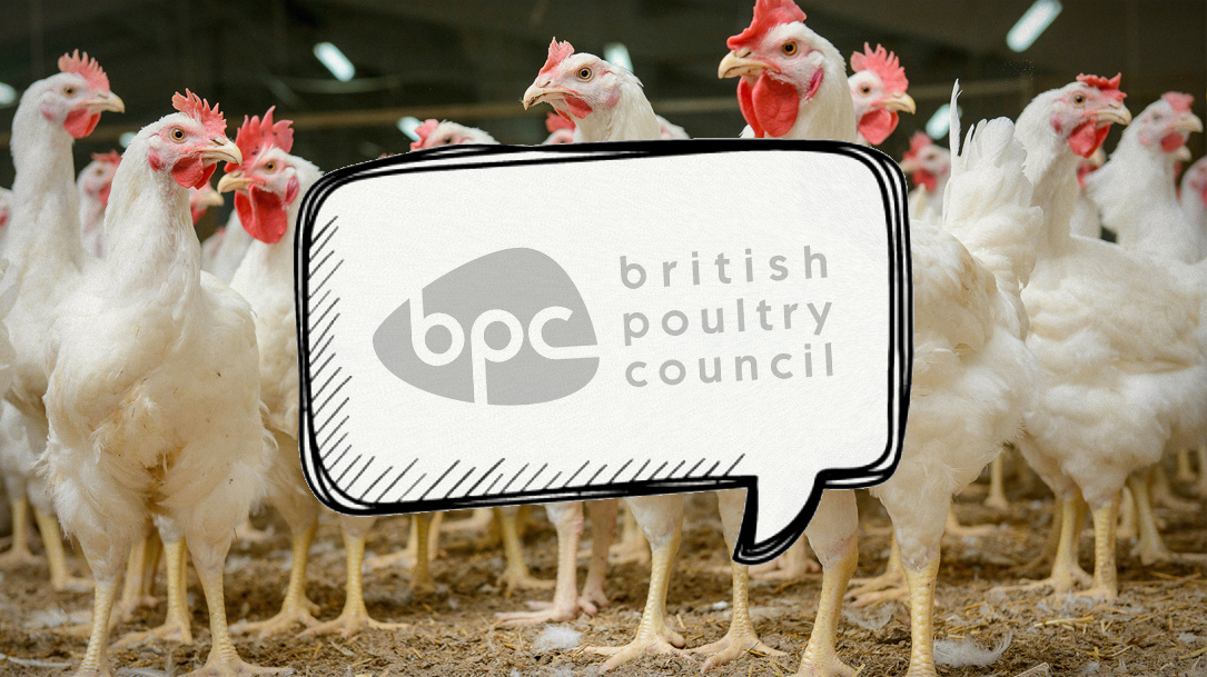 The British Poultry Council - The British Poultry Council is the voice ...